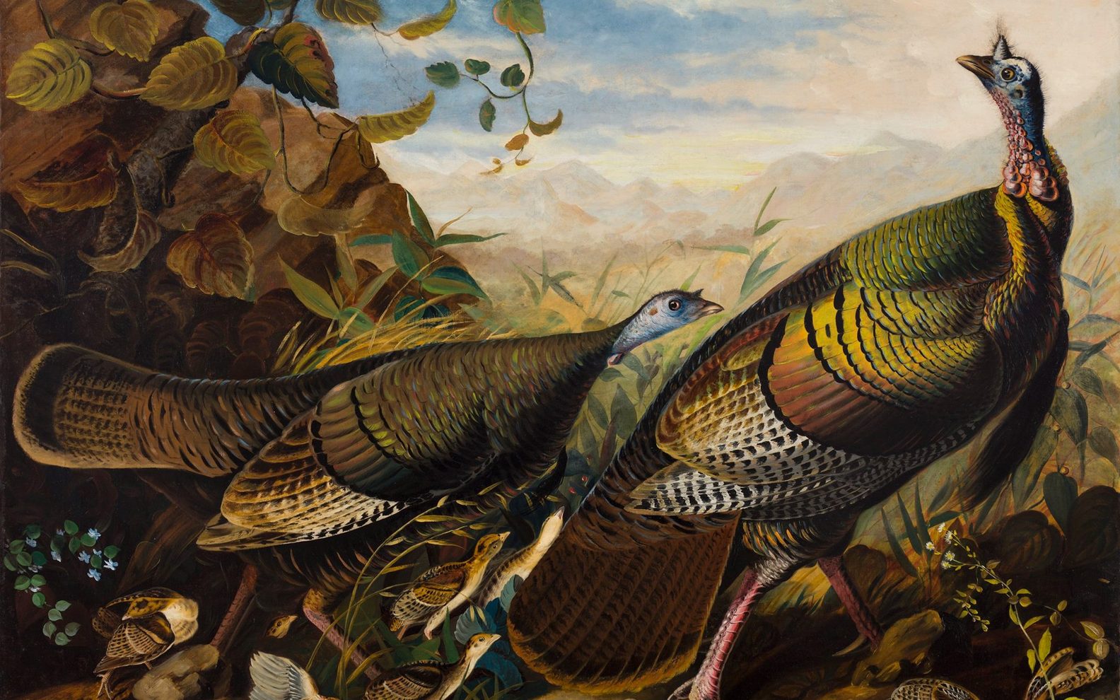 John James Audubon & the Artist as Naturalist | Crystal Bridges Museum ...