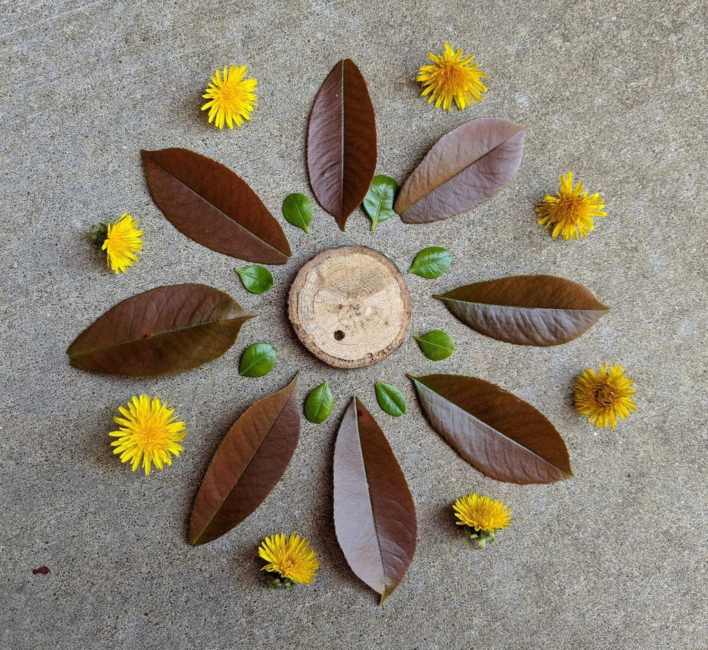 #CBfromHome Activity: Nature Mandalas | Crystal Bridges Museum of ...