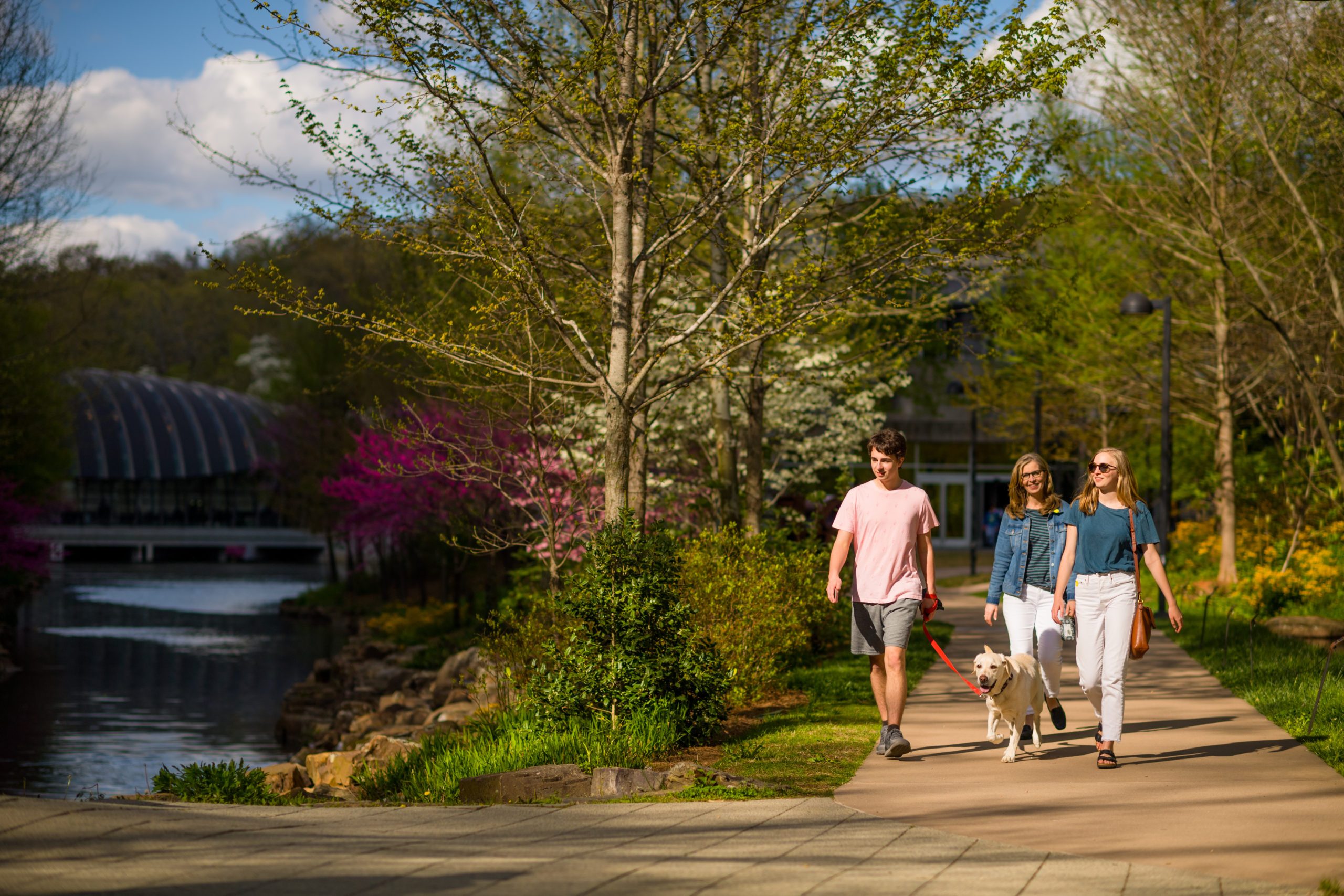 5 Ways to Spend Mother’s Day Weekend at Crystal Bridges | Crystal ...