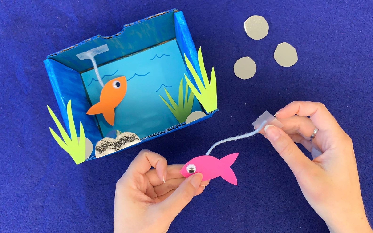 Activity: Create Your Own Mini Aquarium | Crystal Bridges Museum of ...