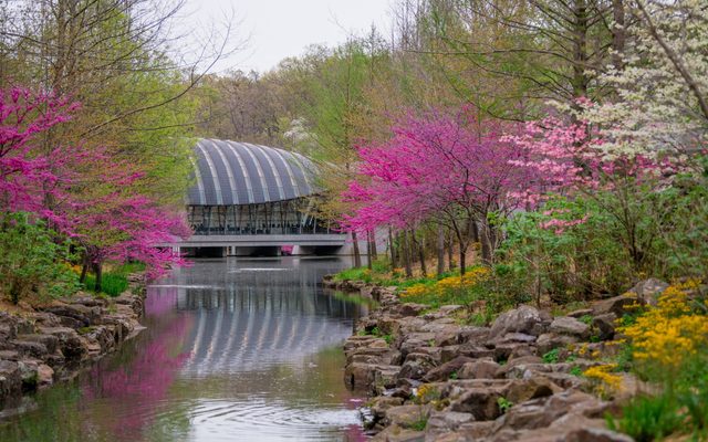 Spanish Landing Page | Crystal Bridges Museum of American Art